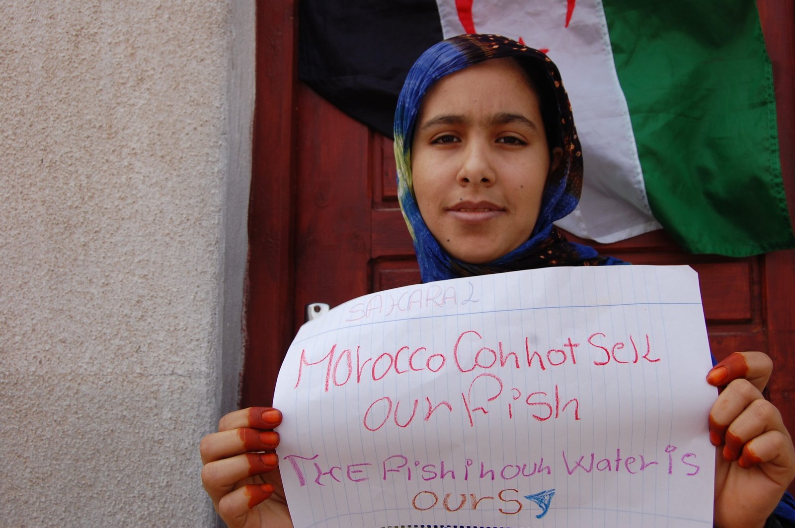 Trading fish or human rights in Western Sahara? Self-determination, non ...